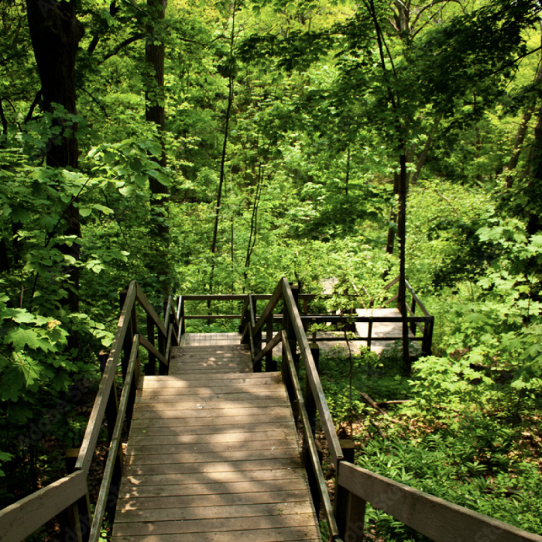 The Ravine Loop – Anthroprocene